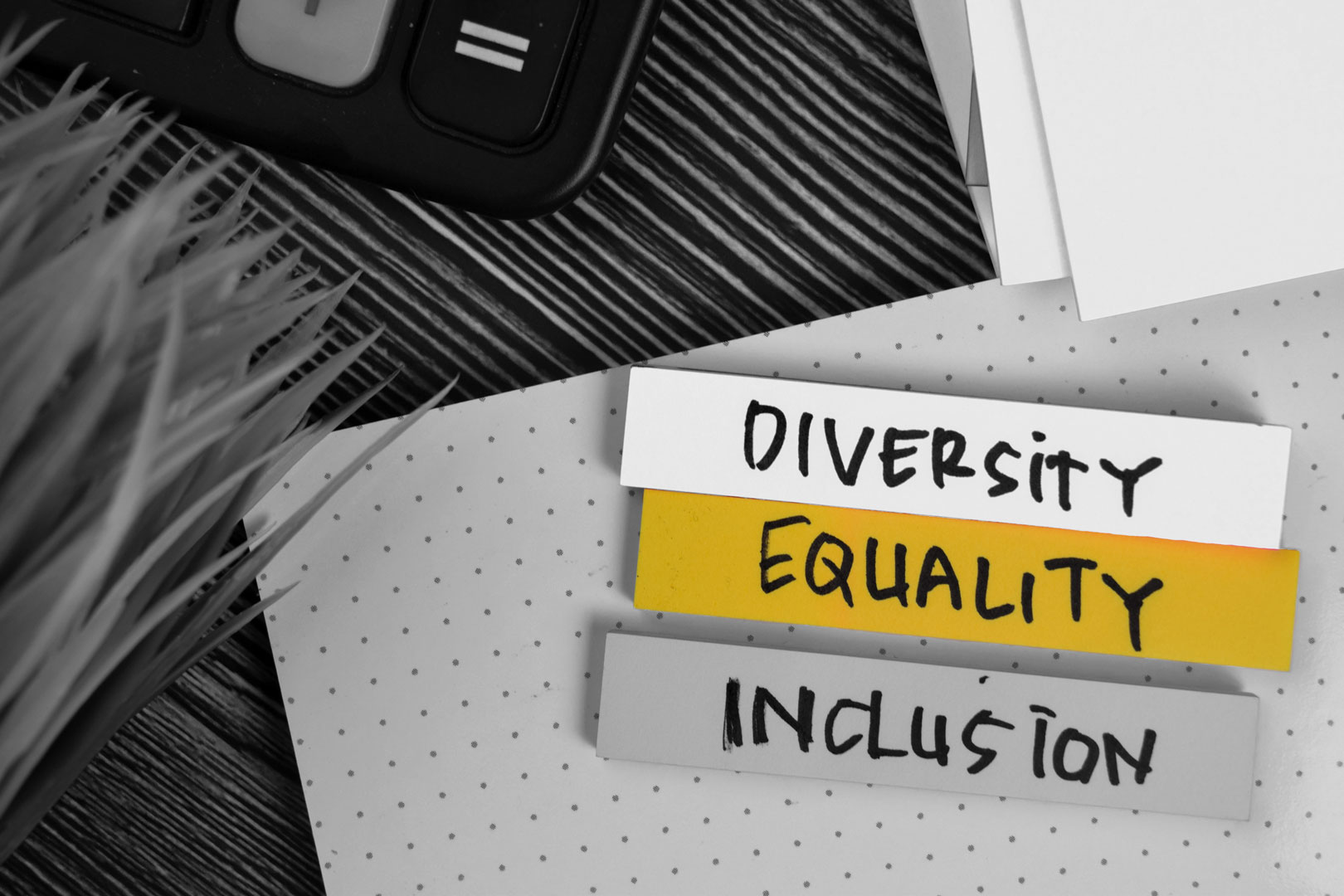 Benefits of Workplace Gender Diversity - BUSY at Work