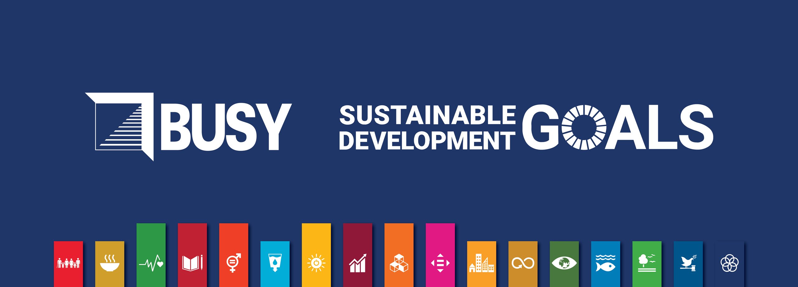 UN Sustainable Development Goals | BUSY At Work - BUSY at Work